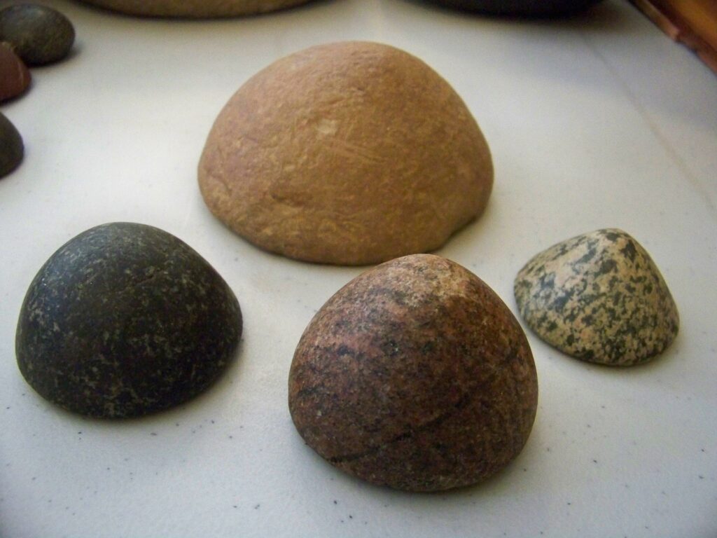 Cones - Peach State Archaeological Society