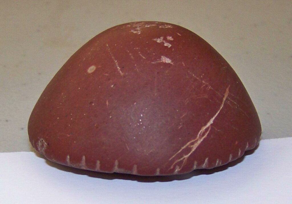 Cones - Peach State Archaeological Society